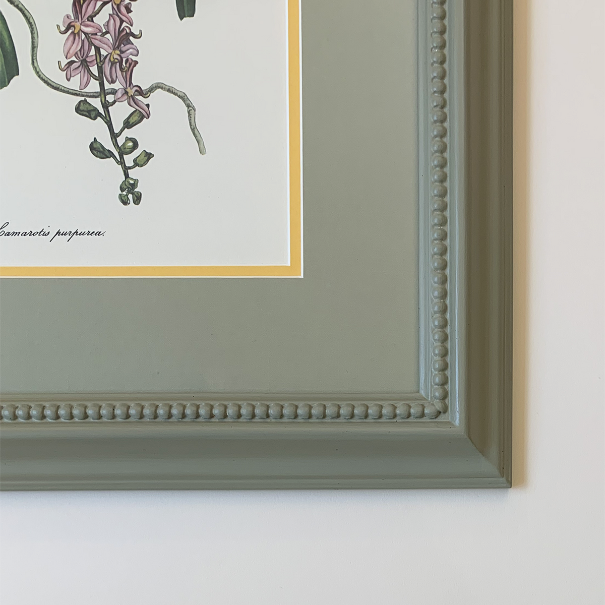 Mounting – Patrick Ireland Frames