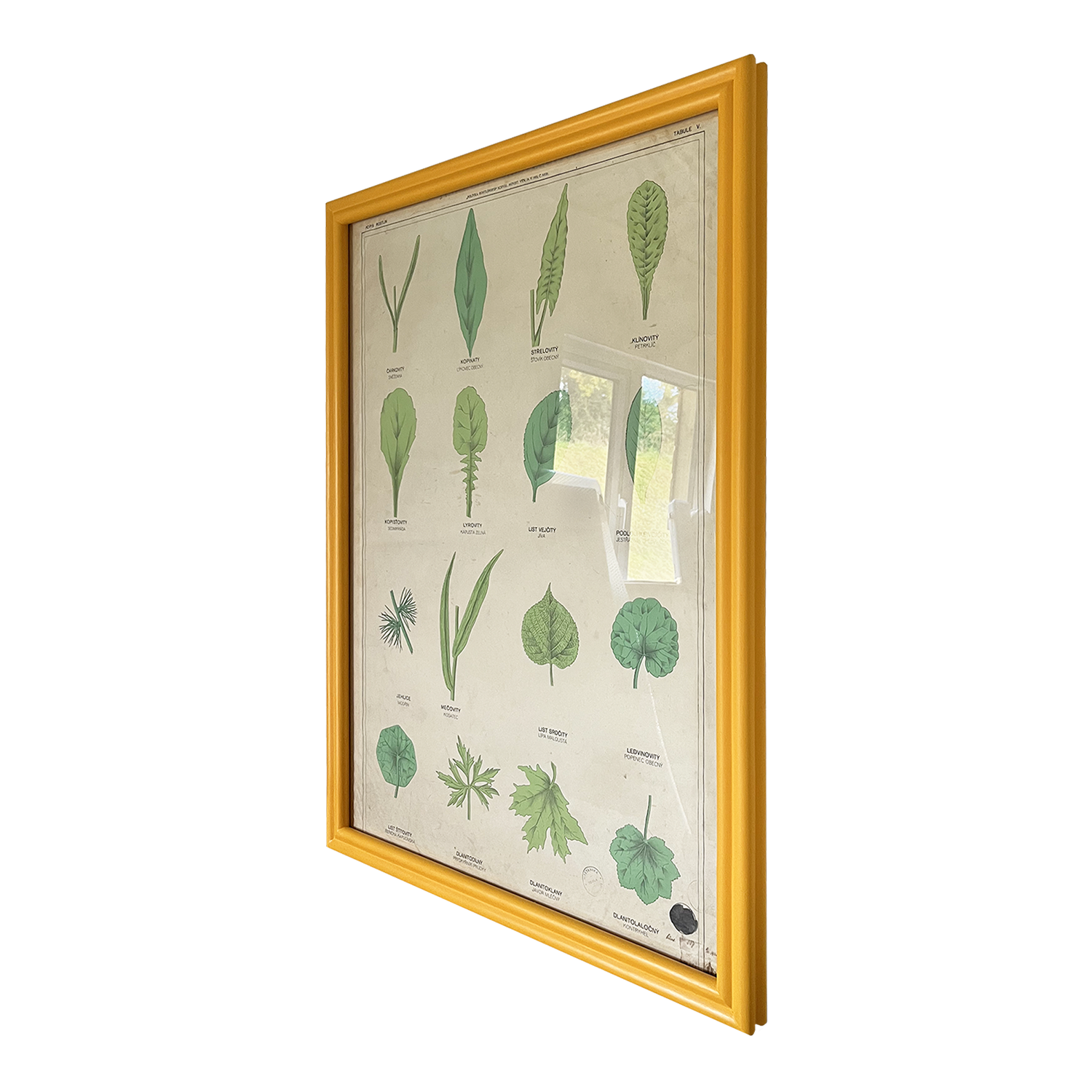 Clover – Patrick Ireland Frames